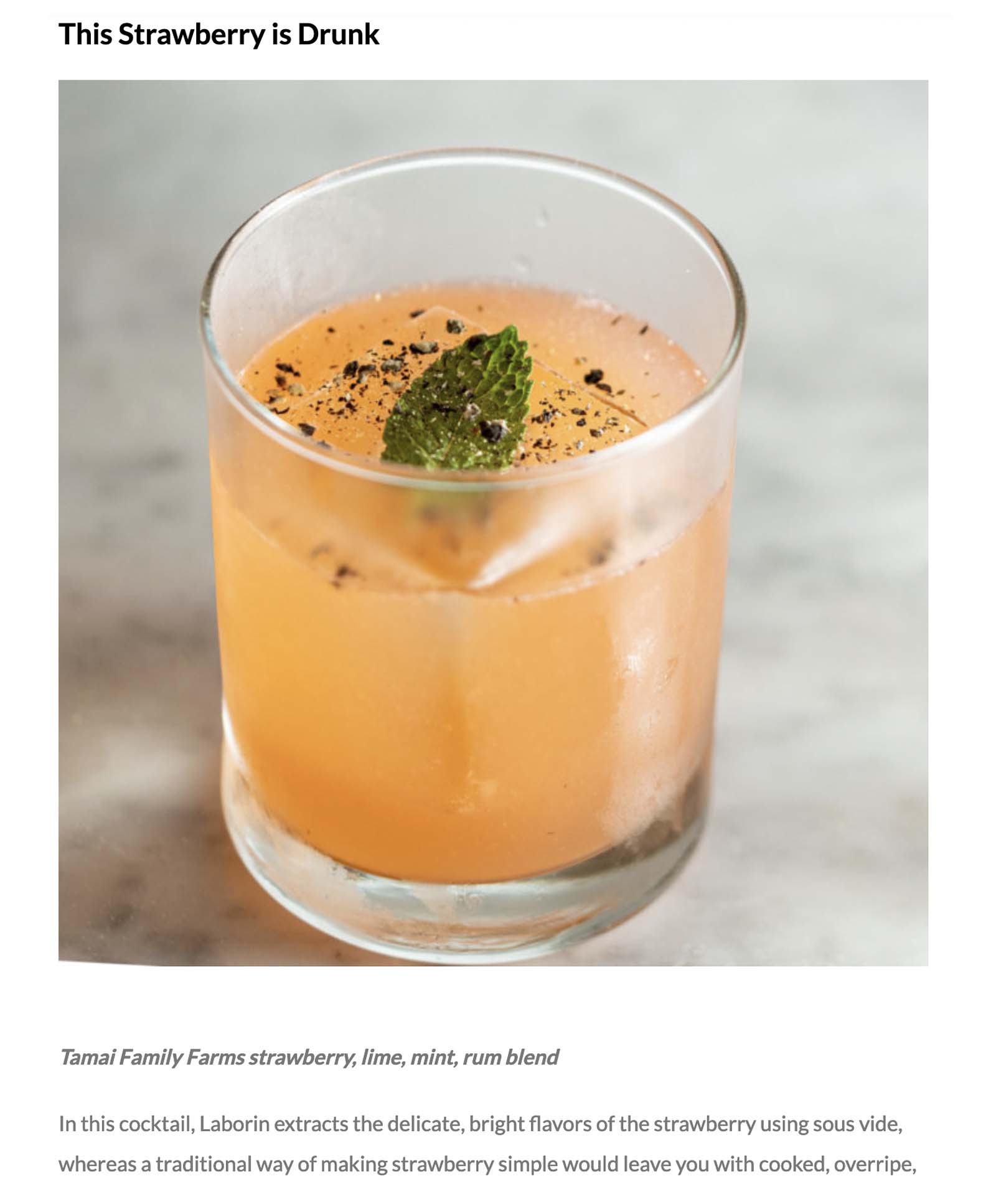 Press - Farmhouse at Roger's Gardens